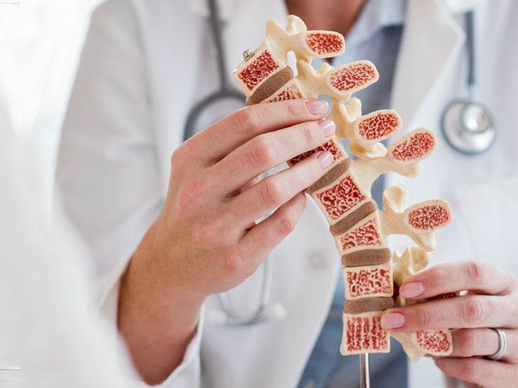 Function Of Bone Marrow What Is It And What Does It Do 