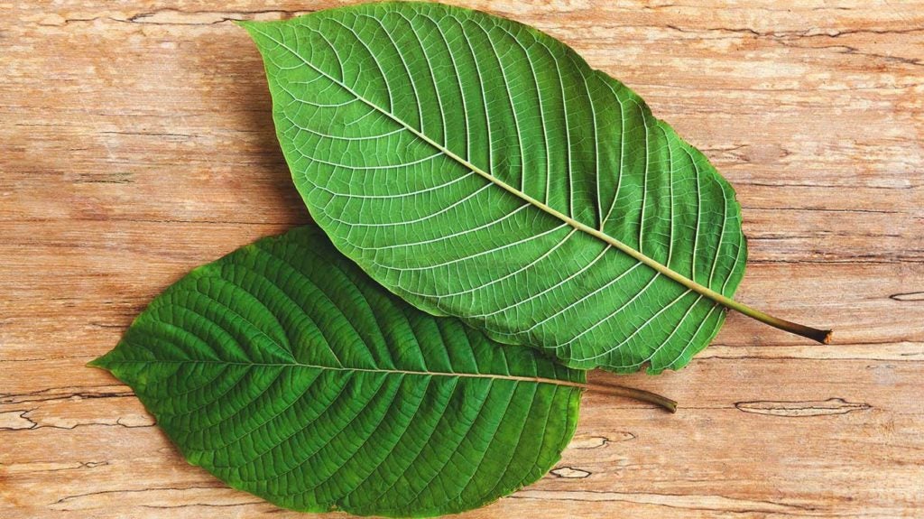 Kratom for Depression and Anxiety: Types, Dosage, Side Effects, More