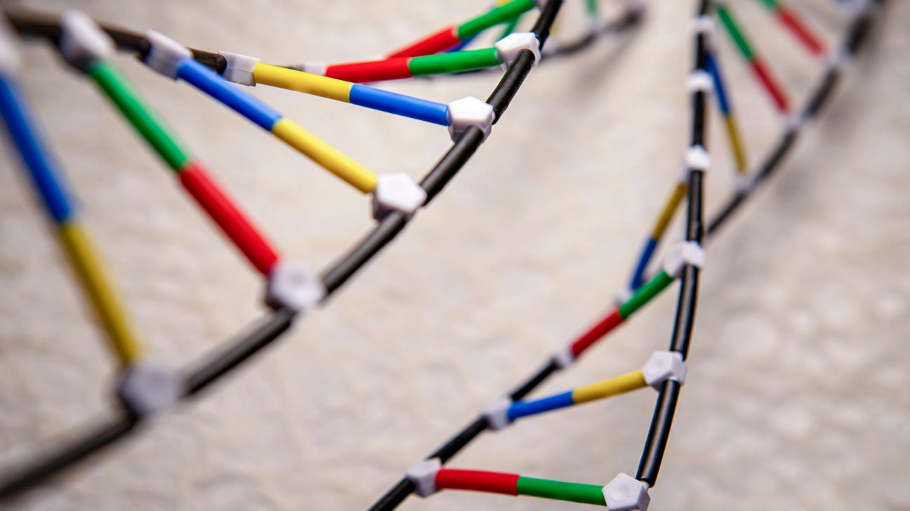 O que é DNA? Estrutura, Função, Imagens e Fatos – Respostas Sempre ...