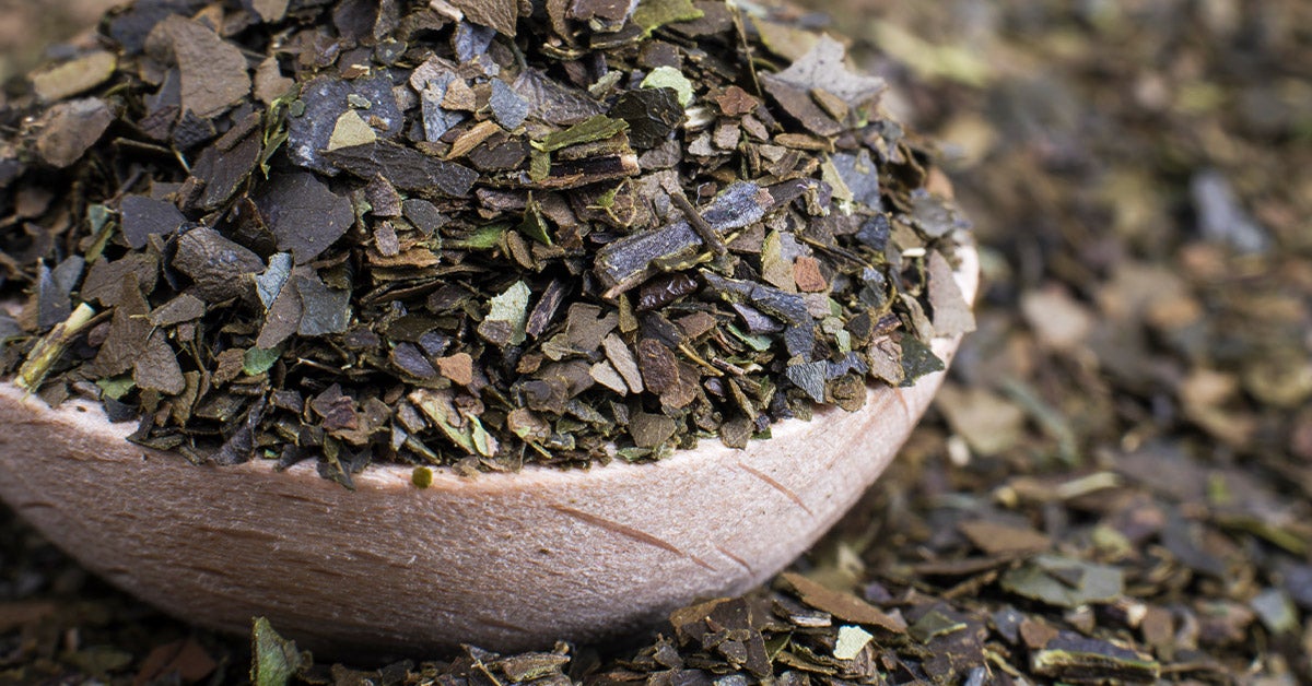 Guayusa: Benefits, Side Effects, and More