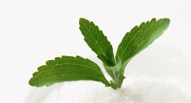Truvia vs Stevia: What’s the Difference?