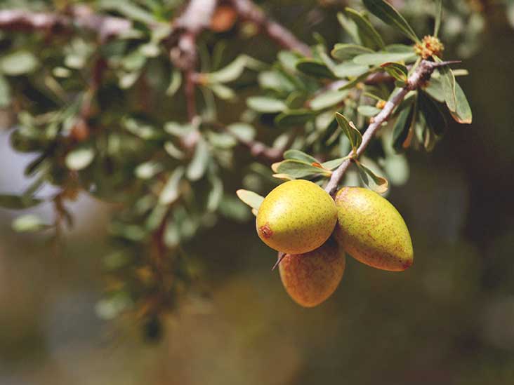 Argan Oil for Skin: Benefits and Uses for All Skin Types