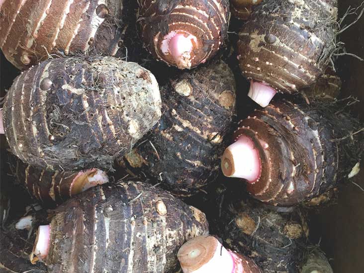 Malanga: Health Benefits and More