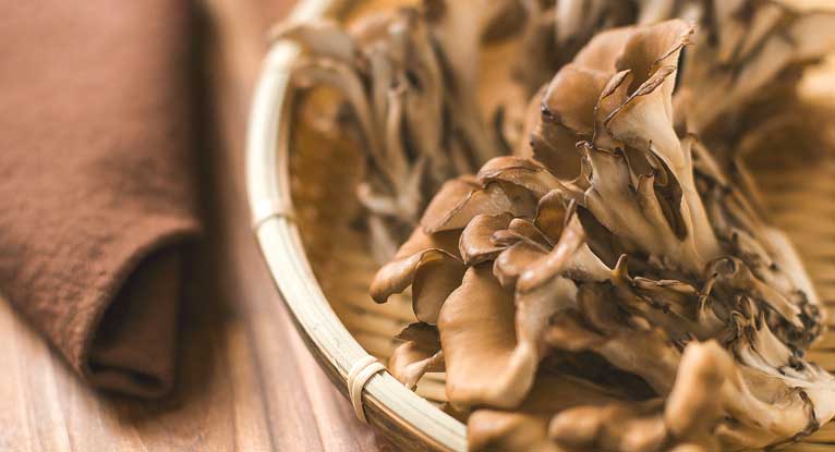 Maitake Mushroom: Risks, Benefits, and More