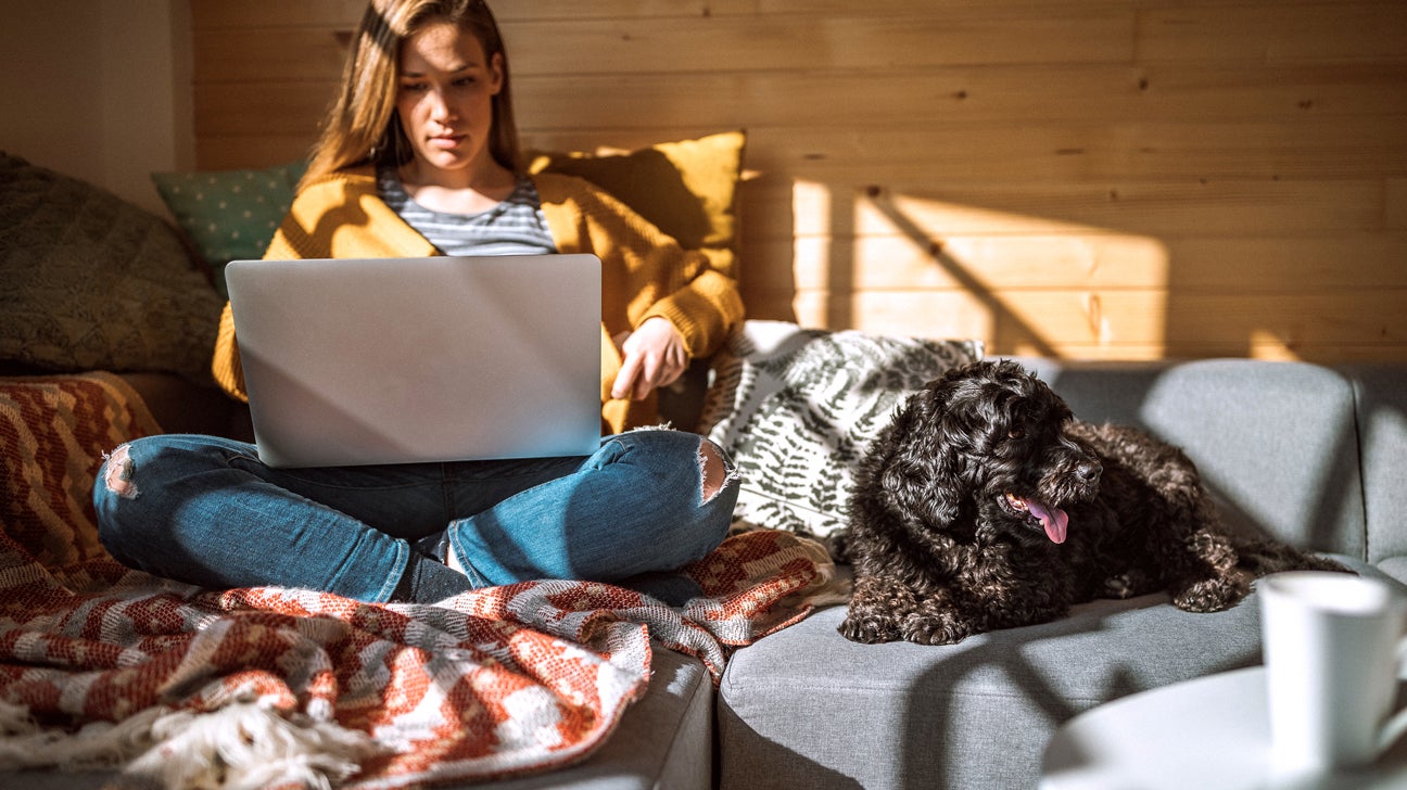 Can Fleas Bite Through Clothing? Plus Best Prevention Strategies