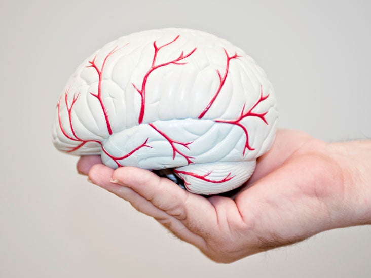 Neuropsychologist: Definition and Patient Education