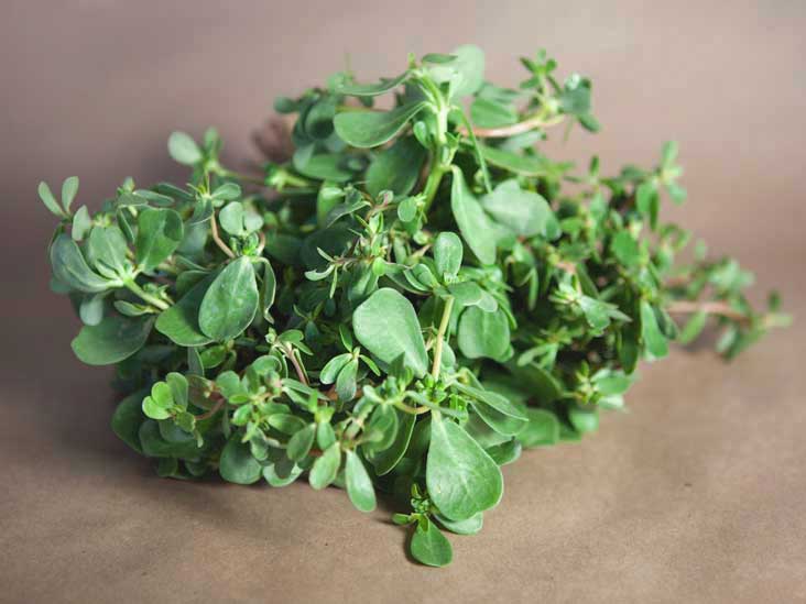 Purslane - A Tasty "Weed" That is Loaded With Nutrients