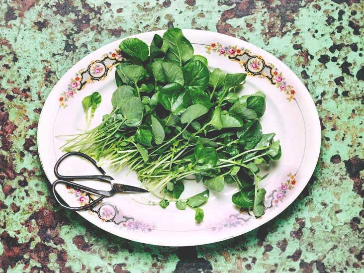 10 Impressive Health Benefits of Watercress