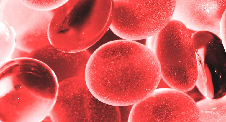 Basophils: Normal Range, Function, and More