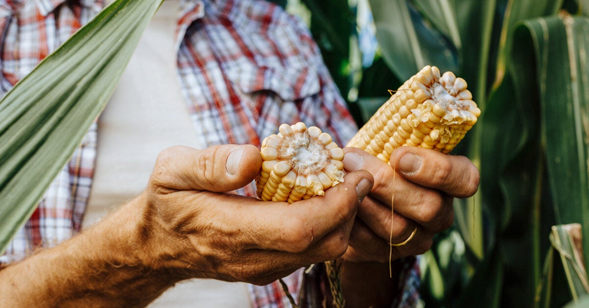 Dealing with Corns on Fingers