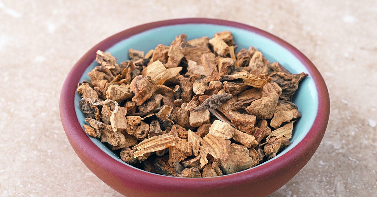 Gentian Root Uses Benefits And Side Effects Gentian Root Uses Benefits And Side Effects