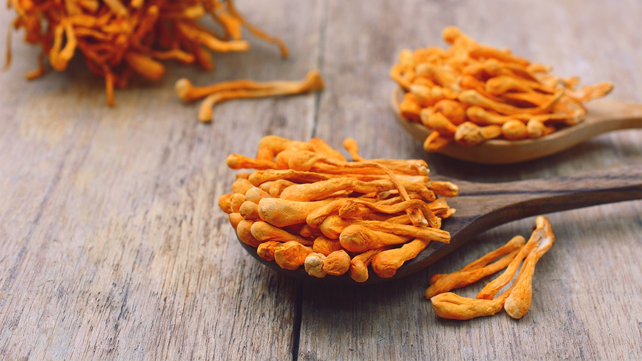 What Are Adaptogenic Mushrooms? Benefits, Risks, and Types