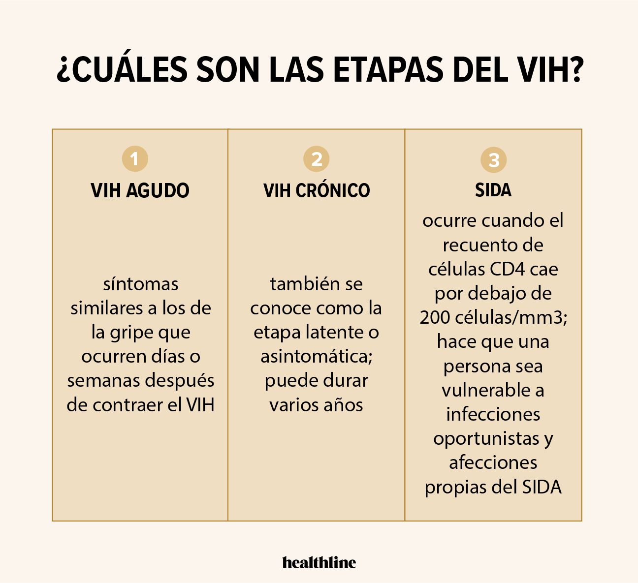 Cómo El Vih Afecta El Cuerpo Transmisión Progresión Y Más