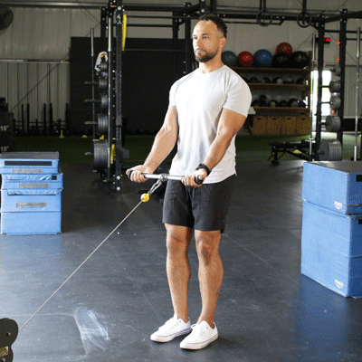 Cable Curl: Benefits, Muscles Worked, and Common Mistakes