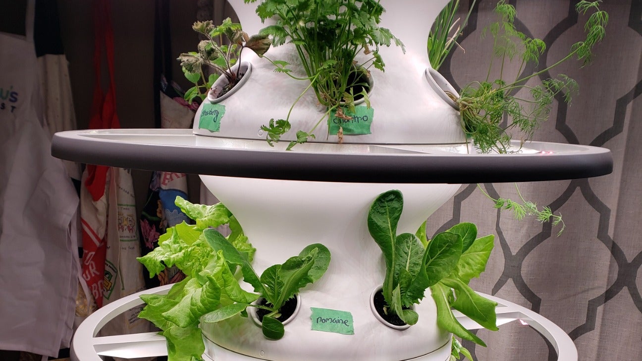 Lettuce Grow Farmstand Review | Healthline