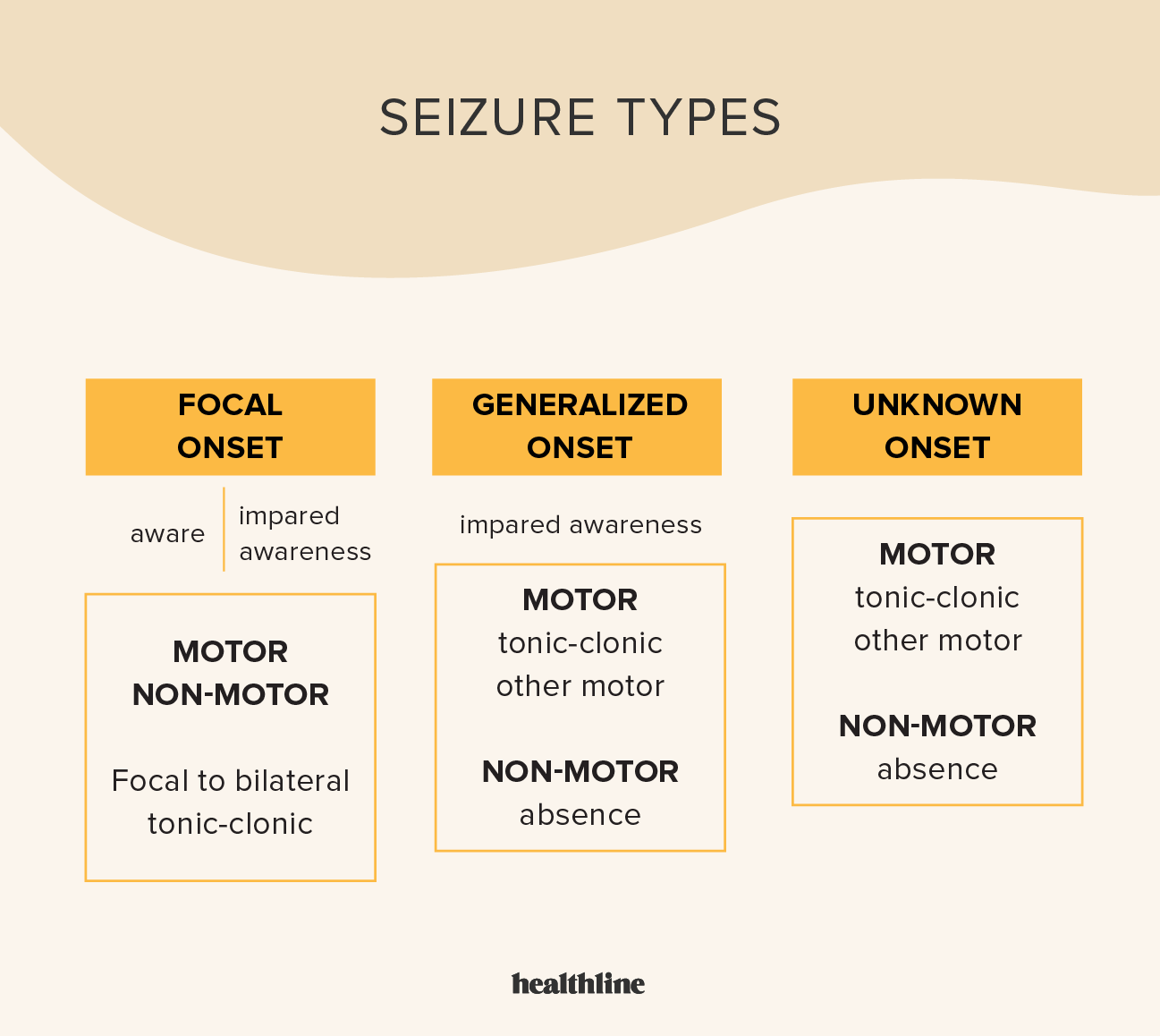 Epilepsy Seizure Types Epilepsy Seizure Types