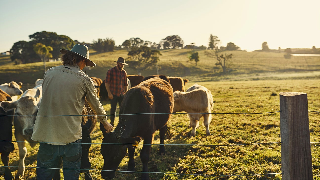 Is It Healthy to Eat Meat?