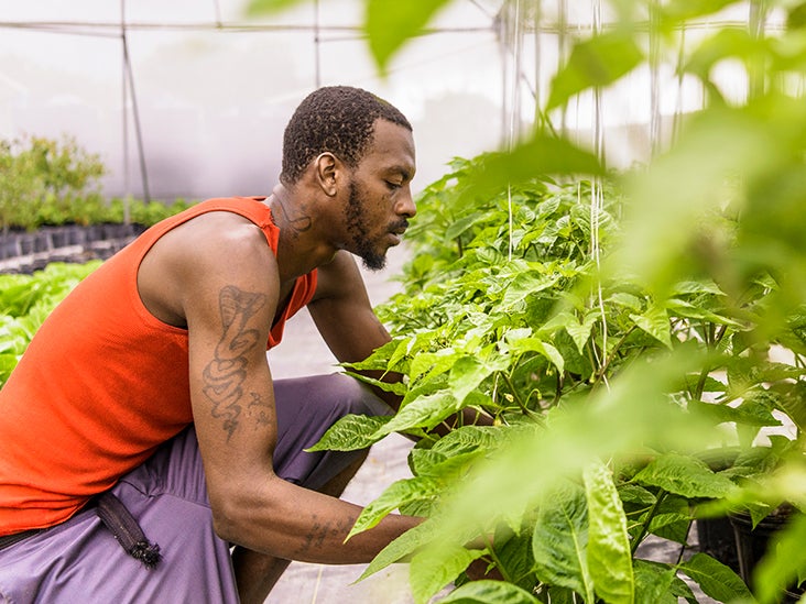 How Do You Grow Food Sustainably in the Caribbean?