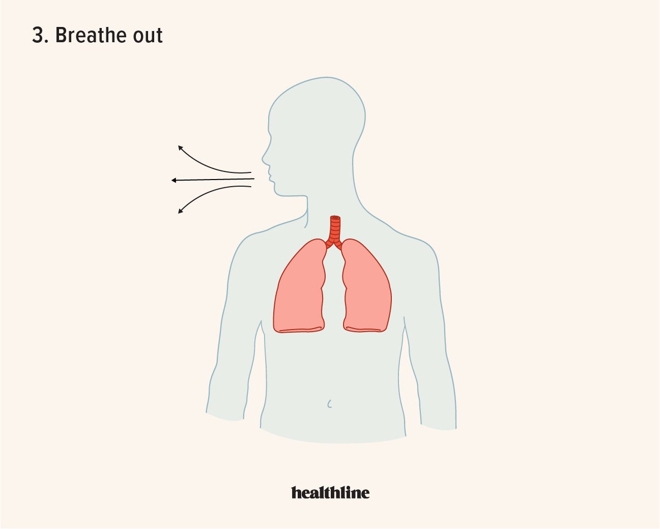 How Do the Lungs Work?