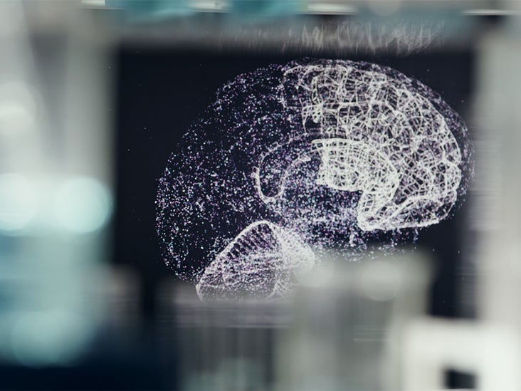 Researchers Scan Brain of Dying Patient: What they Found