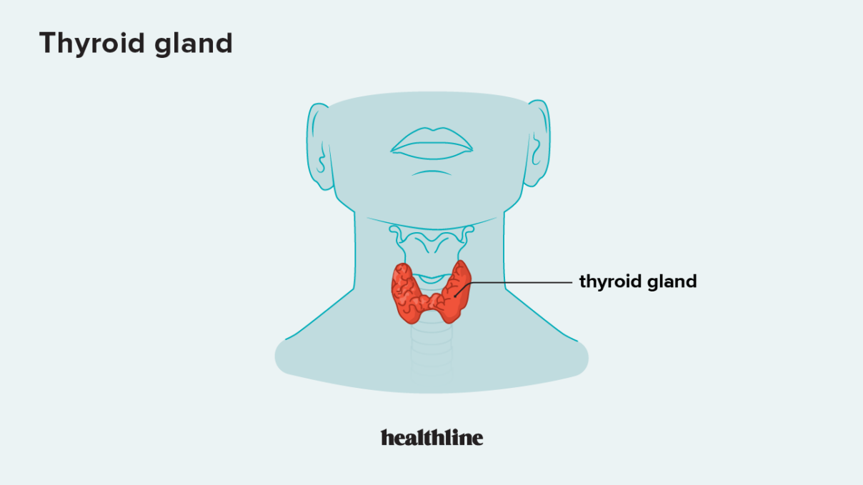 Hypothyroidism Underactive Thyroid