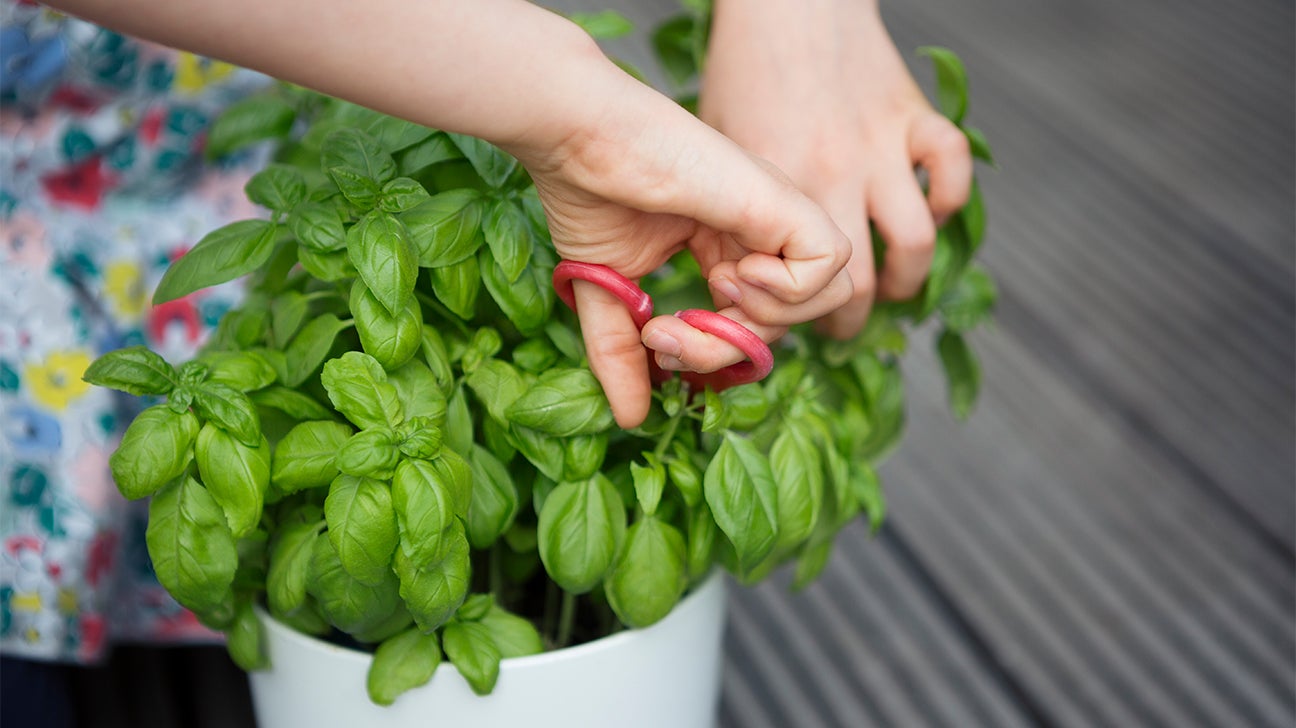 22 Healthy Pasta Toppings