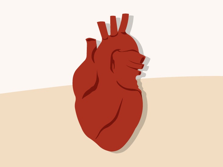 Heart Valve Disease: Learn the Risk Factors