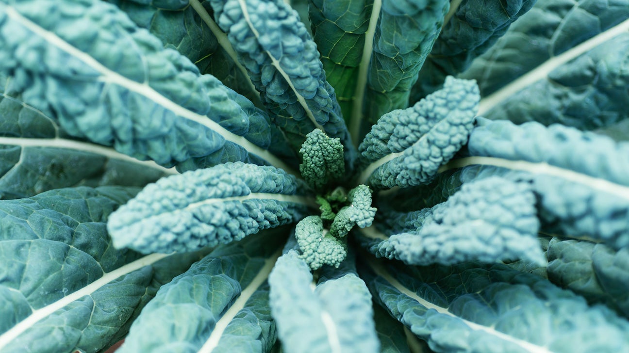 Types of Kale: 10 Different Options