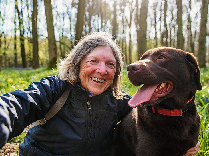 Can Leukemia Be Cured In Dogs