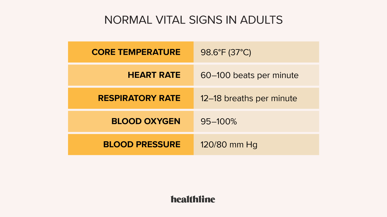Vital Signs In Hindi Shop Prices Brunofuga adv br