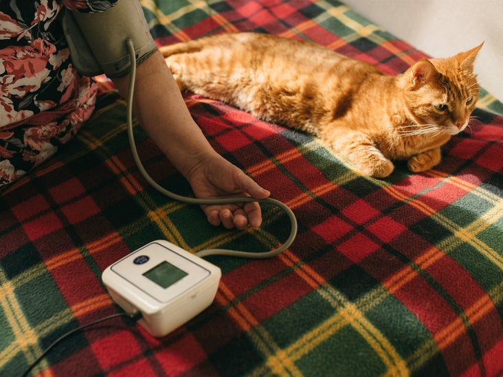 Medicare and Heart Health: What to Look For