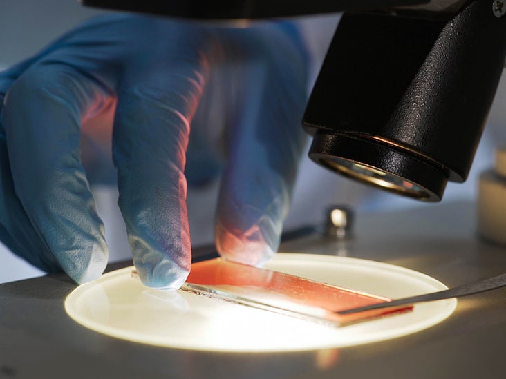 Molecular Testing: How it Works, Its Uses, and Advancements