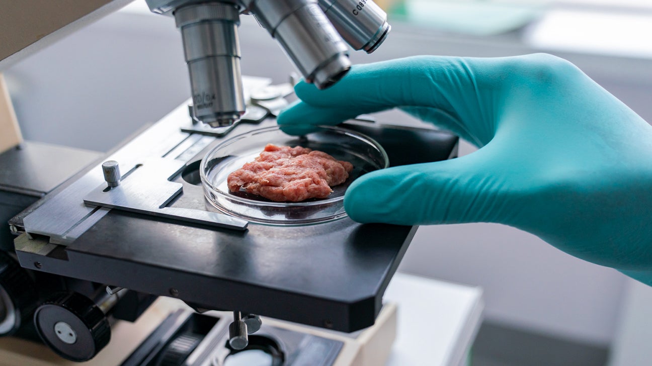FDA Says Lab-Grown Meat is Safe to Eat
