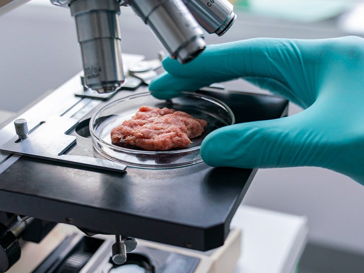 FDA Says Lab-Grown Meat is Safe to Eat