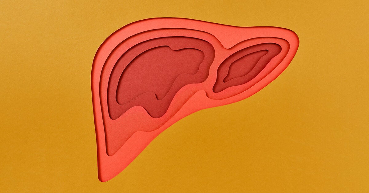What Are the Signs Your Liver Is Healing?