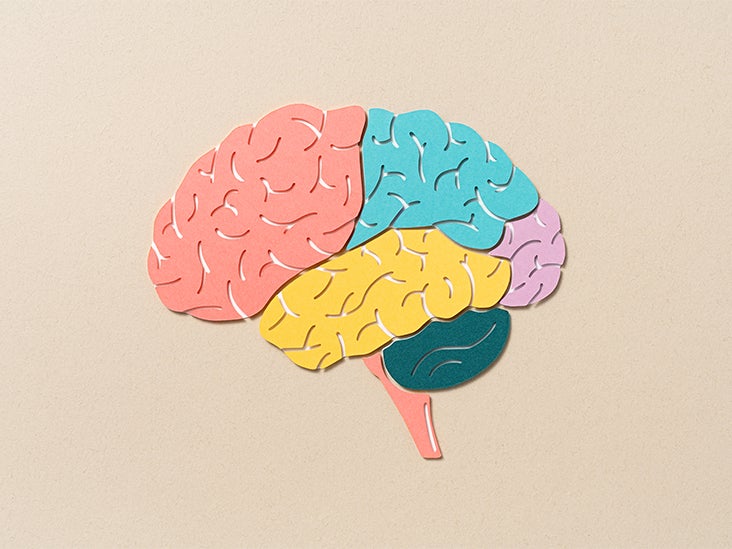 Areas of the Brain Affected by Parkinson's Disease