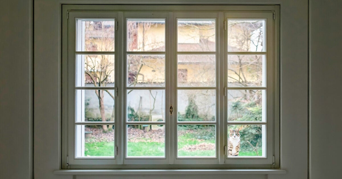 Inattentional Blindness: Symptoms, Causes, Treatment