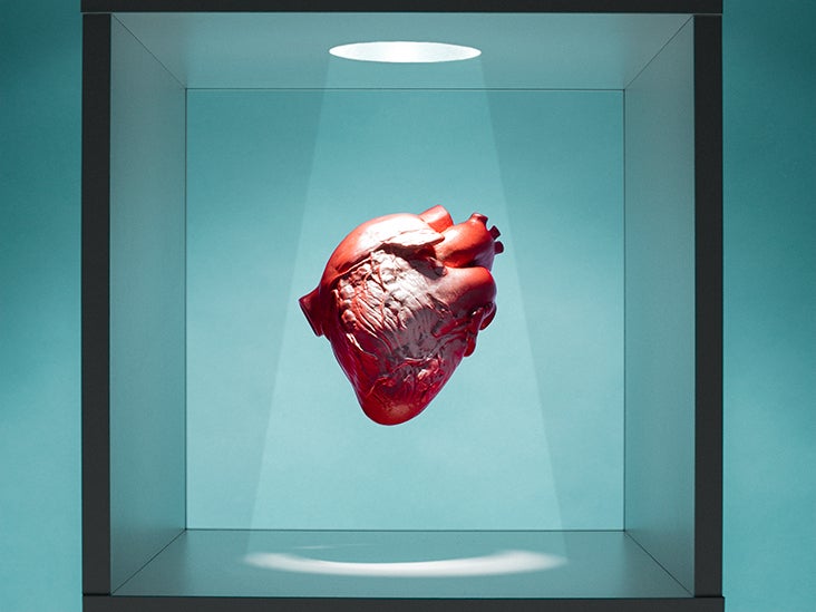 Does Semaglutide Help Your Heart?