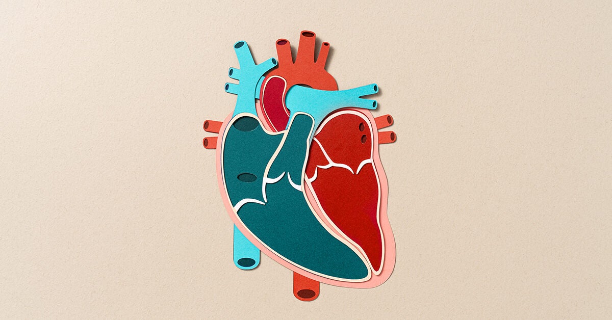Aortic Dissection vs. Aneurysm: How Do They Differ?