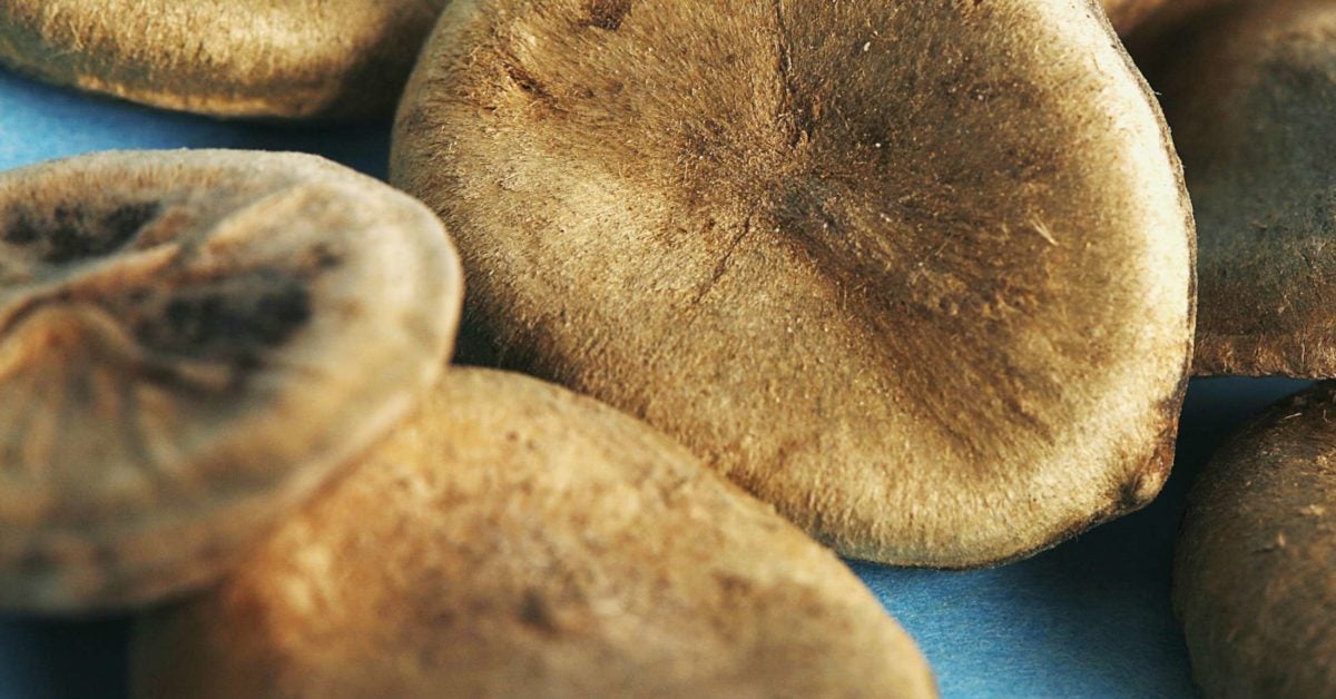 Nux vomica: Research, potential benefits, and side effects