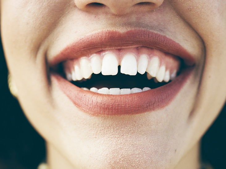 how-many-teeth-do-adults-have-anatomy-and-function